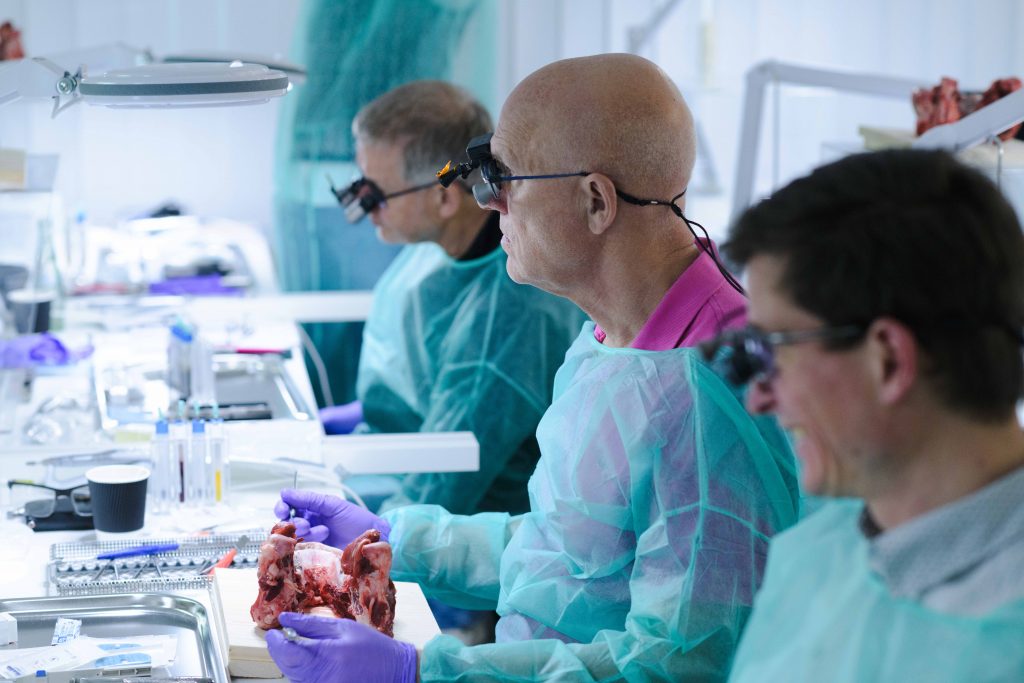 Course weekend: Shell technique - Argon Dental Vertriebs Gmbh & Co. KG